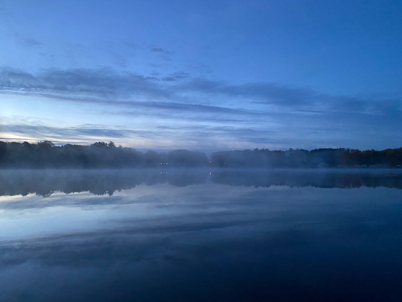 Every Day Curations - Every Day Curations